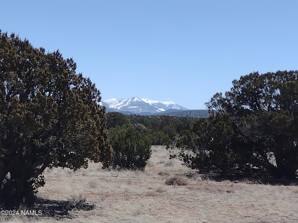 3307 W Clove Hitch Road #3, Williams, AZ 86046 - BHGRE