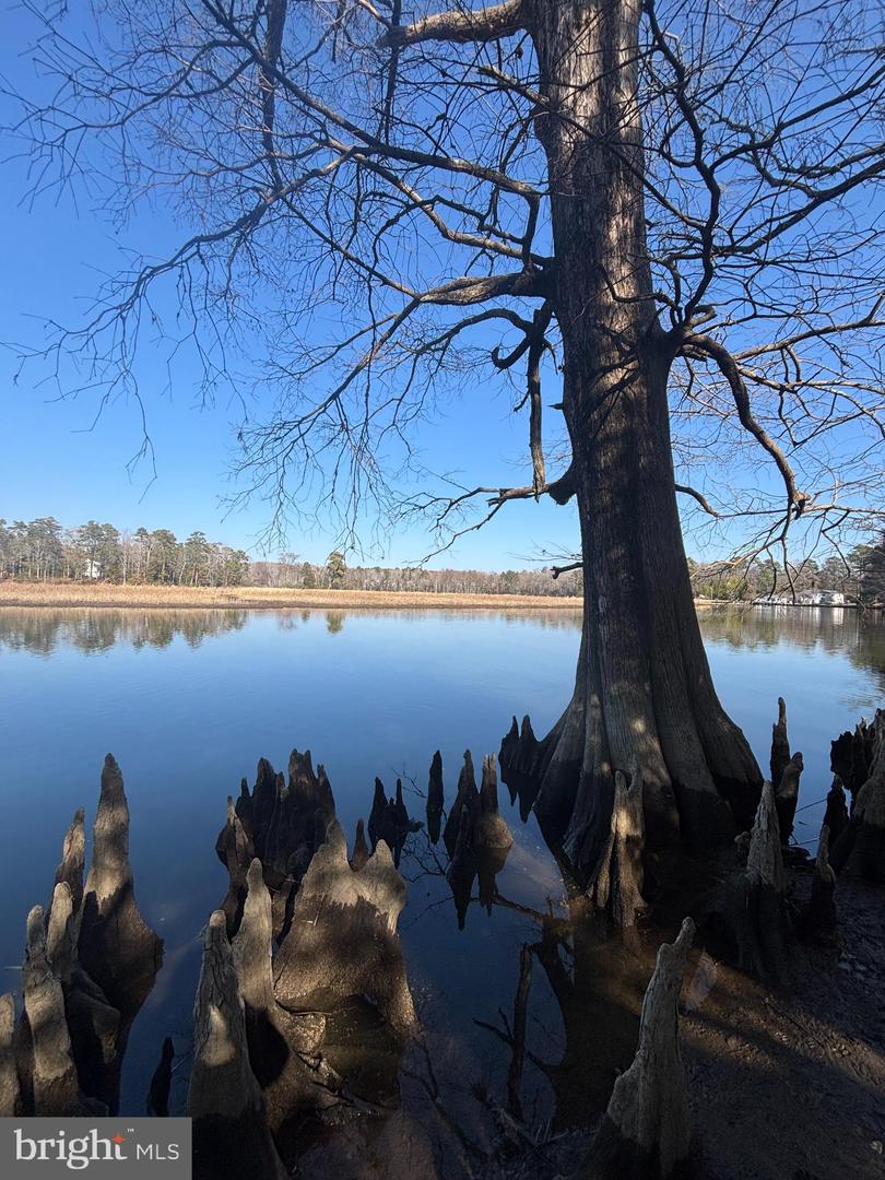 339 Neck-o-land Road, WILLIAMSBURG, VA 23185 - BHGRE