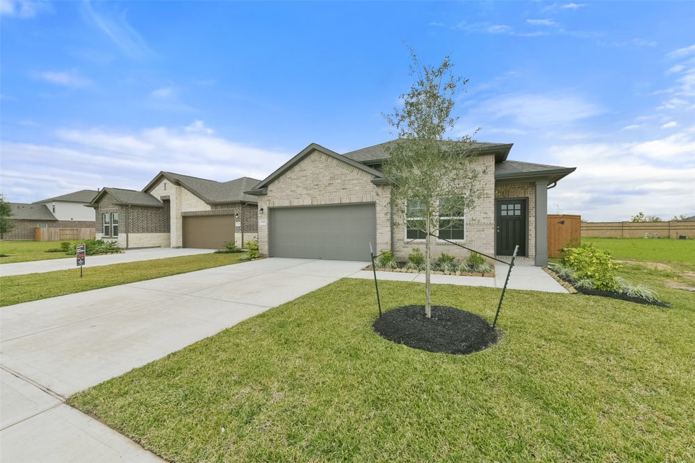 1118 Wildflower Way Drive, Beasley, TX 77417 - BHGRE