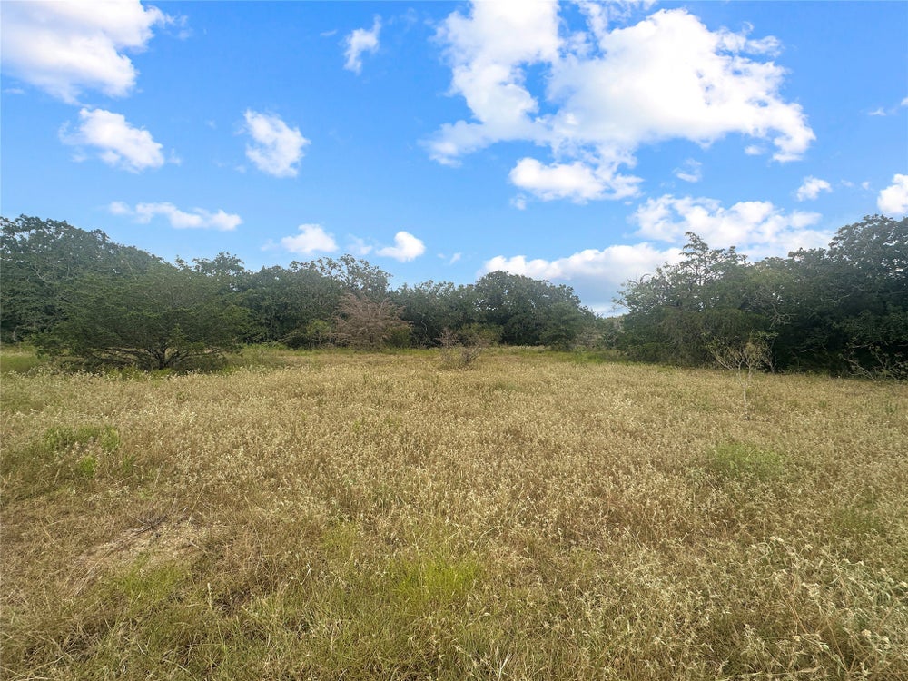 33 +/- acres Davis Road, Muldoon, TX 78949 - BHGRE