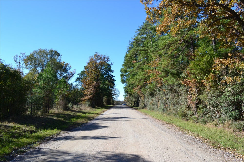 11 Ellis Spring Road, Trinity, TX 75862 - BHGRE