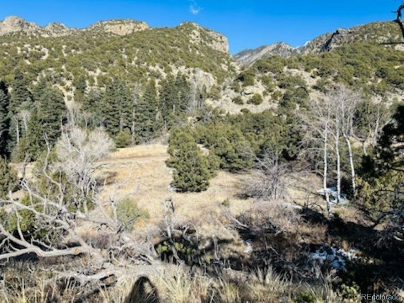 184 Cedar Ridge Road, Mosca, CO 81146 - BHGRE