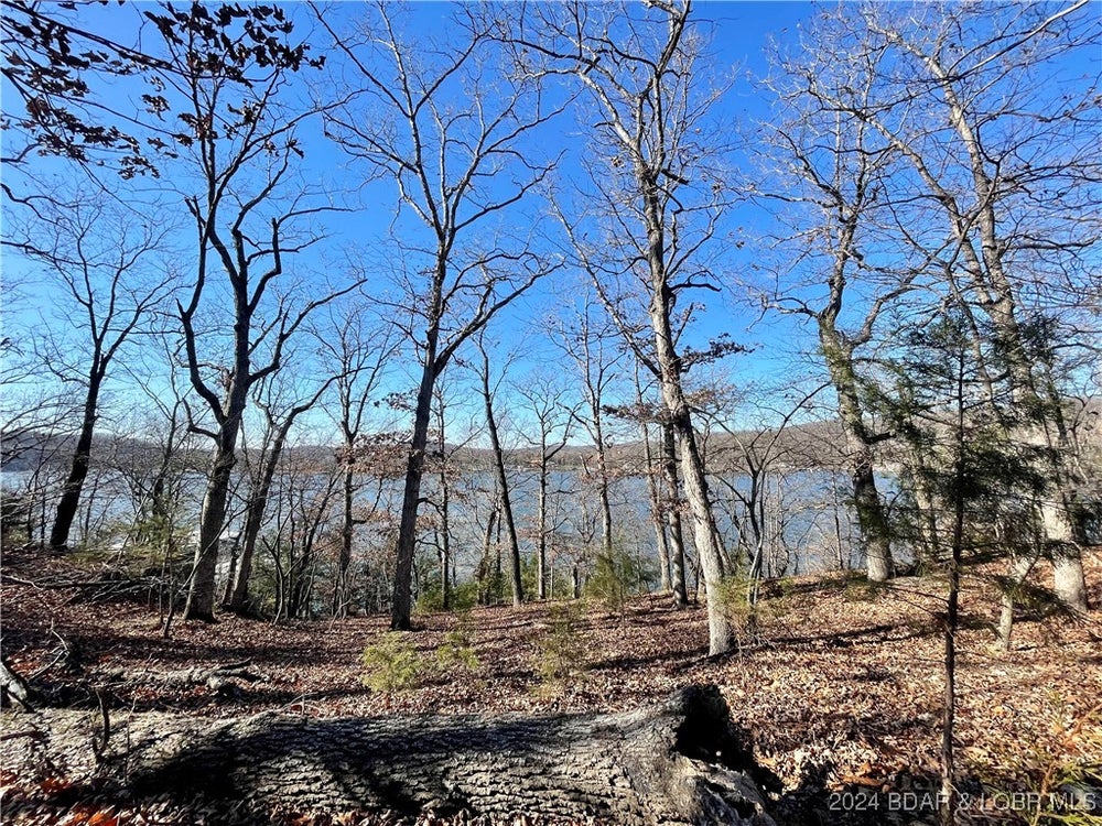 Big Island Drive, Roach, MO 65787 - BHGRE