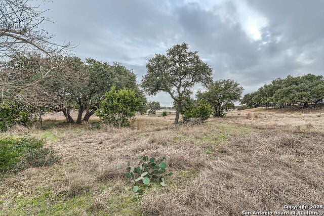 161 Mystic Shores, Spring Branch, TX 78070 - BHGRE