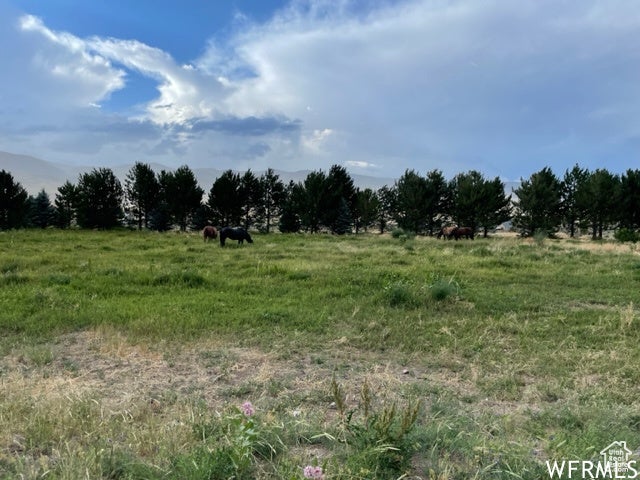 90 S 100 W, Joseph, UT 84739 - BHGRE