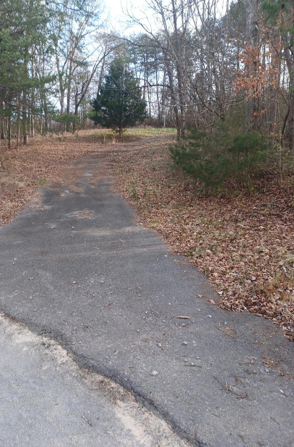 227 County Road 733, Calhoun, TN 37309 - BHGRE